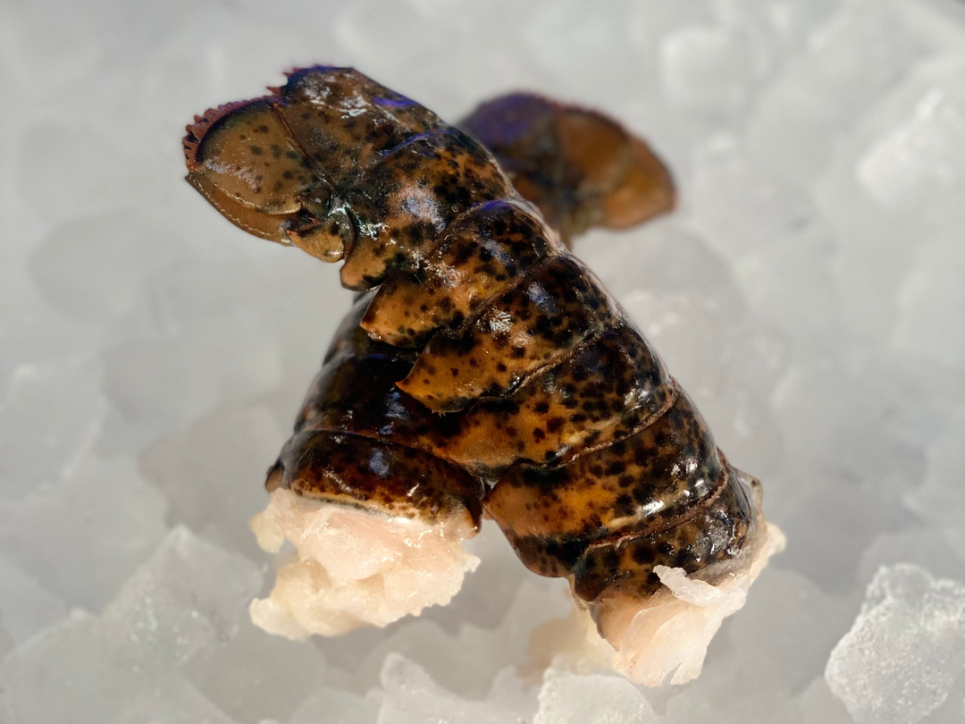 Cold Water Lobster Tail, Wild, Frozen – Goldfish Seafood Market